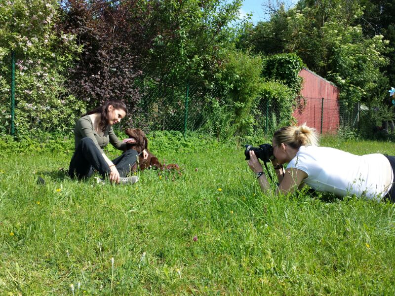 Dogges - Hundeschule & familienorientierte Hundebetreuung