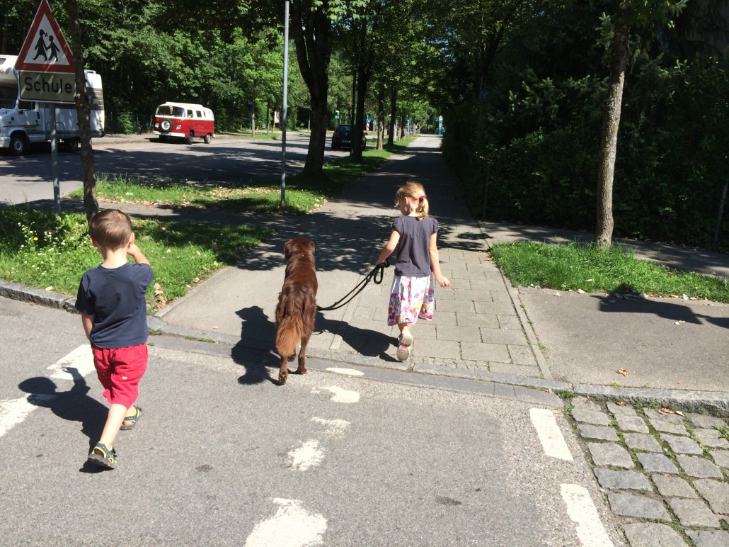 Dogges - Hundeschule & familienorientierte Hundebetreuung