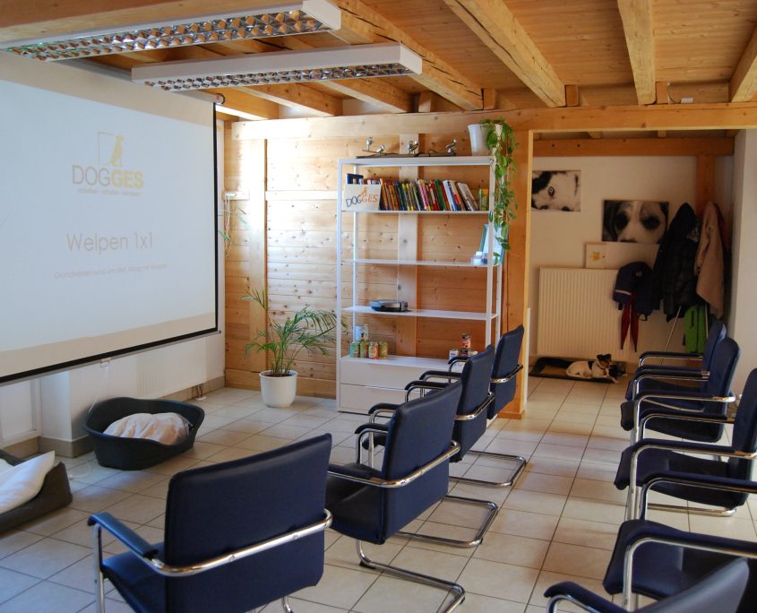 Dogges - Hundeschule & familienorientierte Hundebetreuung